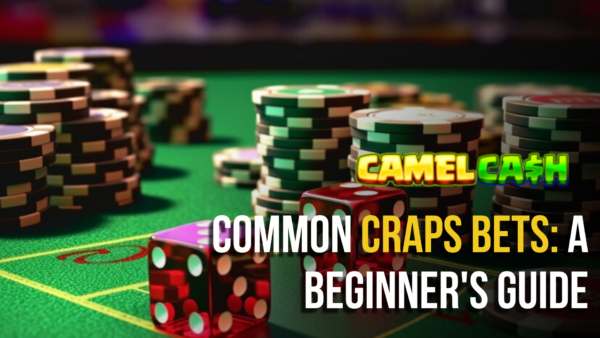 Common Craps Bets: A Beginner's Guide